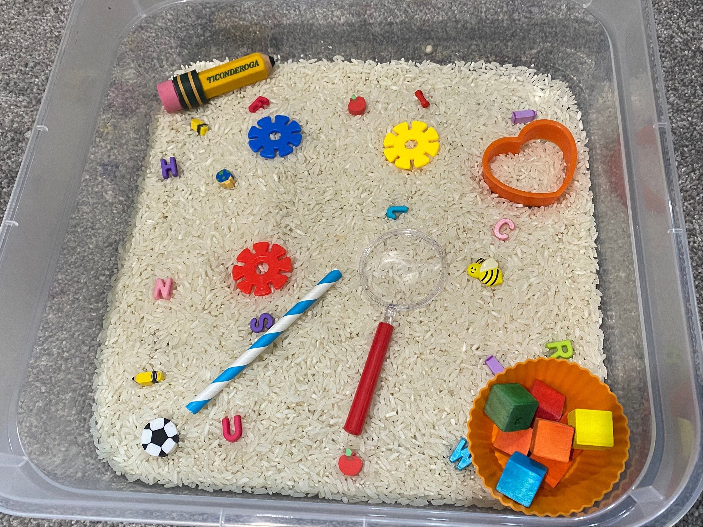 Back to School Sensory Bin/ School Sensory Bin - Etsy