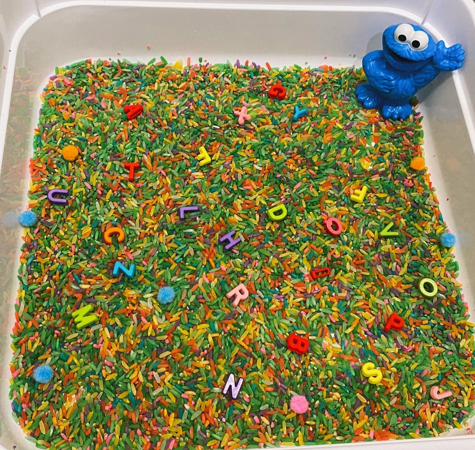 Sesame Street Sensory Bin/letters and Colors Sensory Bin/ Numbers ...