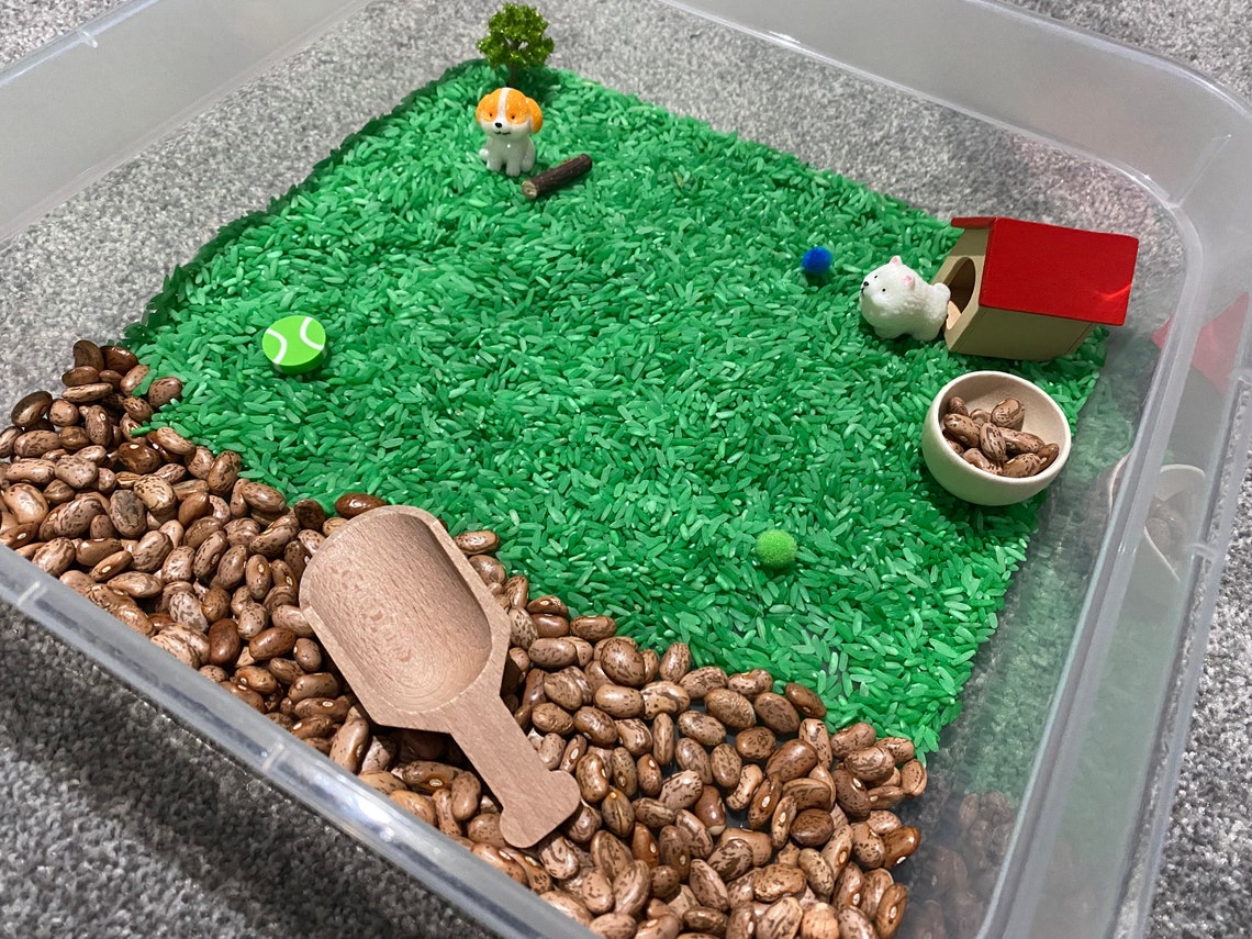 Backyard Puppy Sensory Bin/ Backyard Sensor Bin/ Pets Sensory Bin - Etsy
