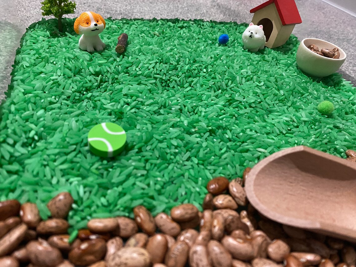 Backyard Puppy Sensory Bin/ Backyard Sensor Bin/ Pets Sensory Bin - Etsy