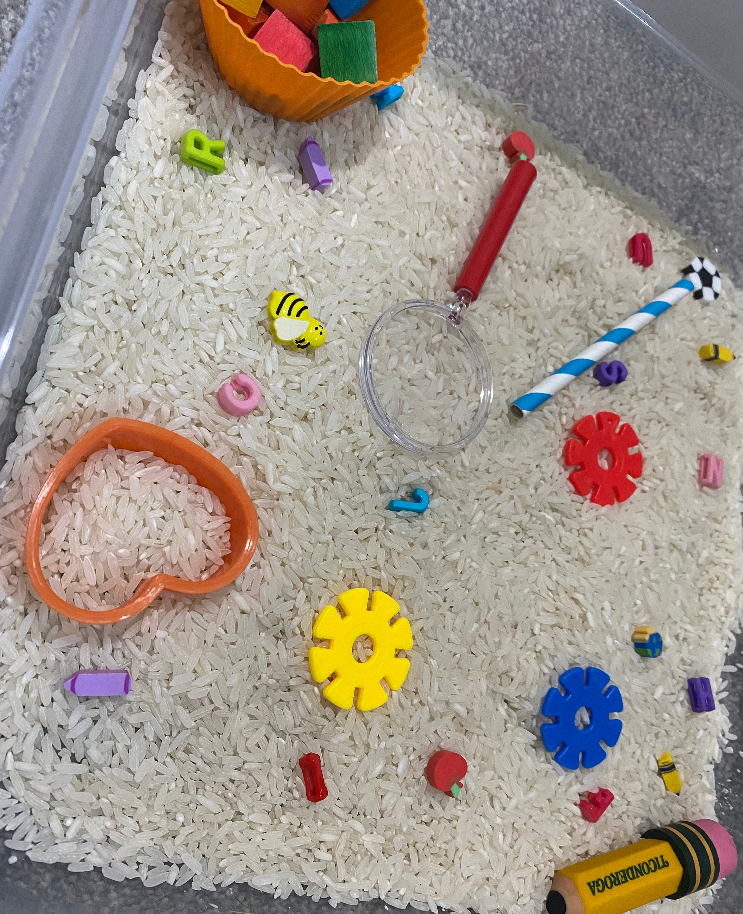 Back to School Sensory Bin/ School Sensory Bin - Etsy