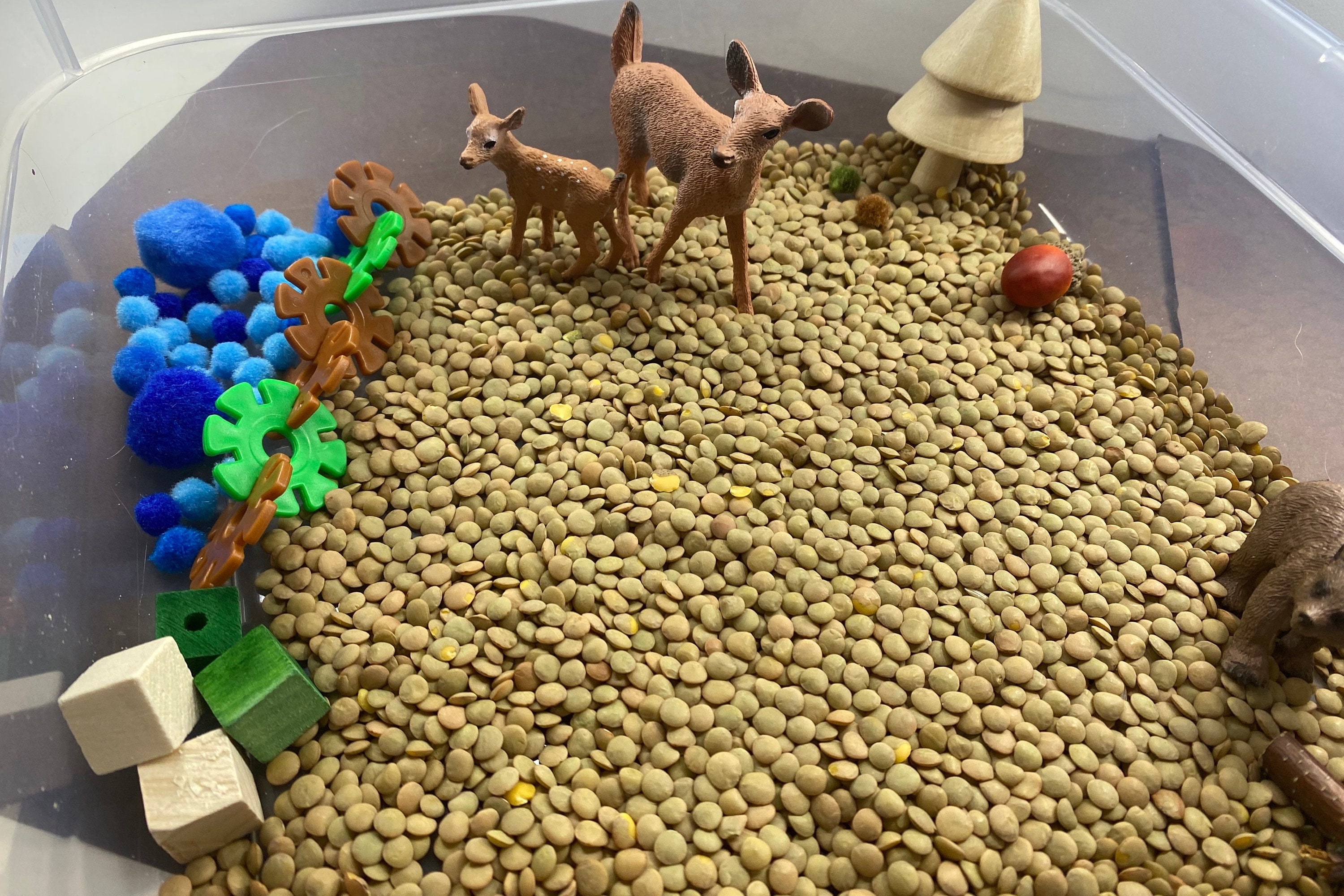 Forest Sensory Bin/ Forest Animal Bin/ Kids Sensory Bin/ Woodlands ...