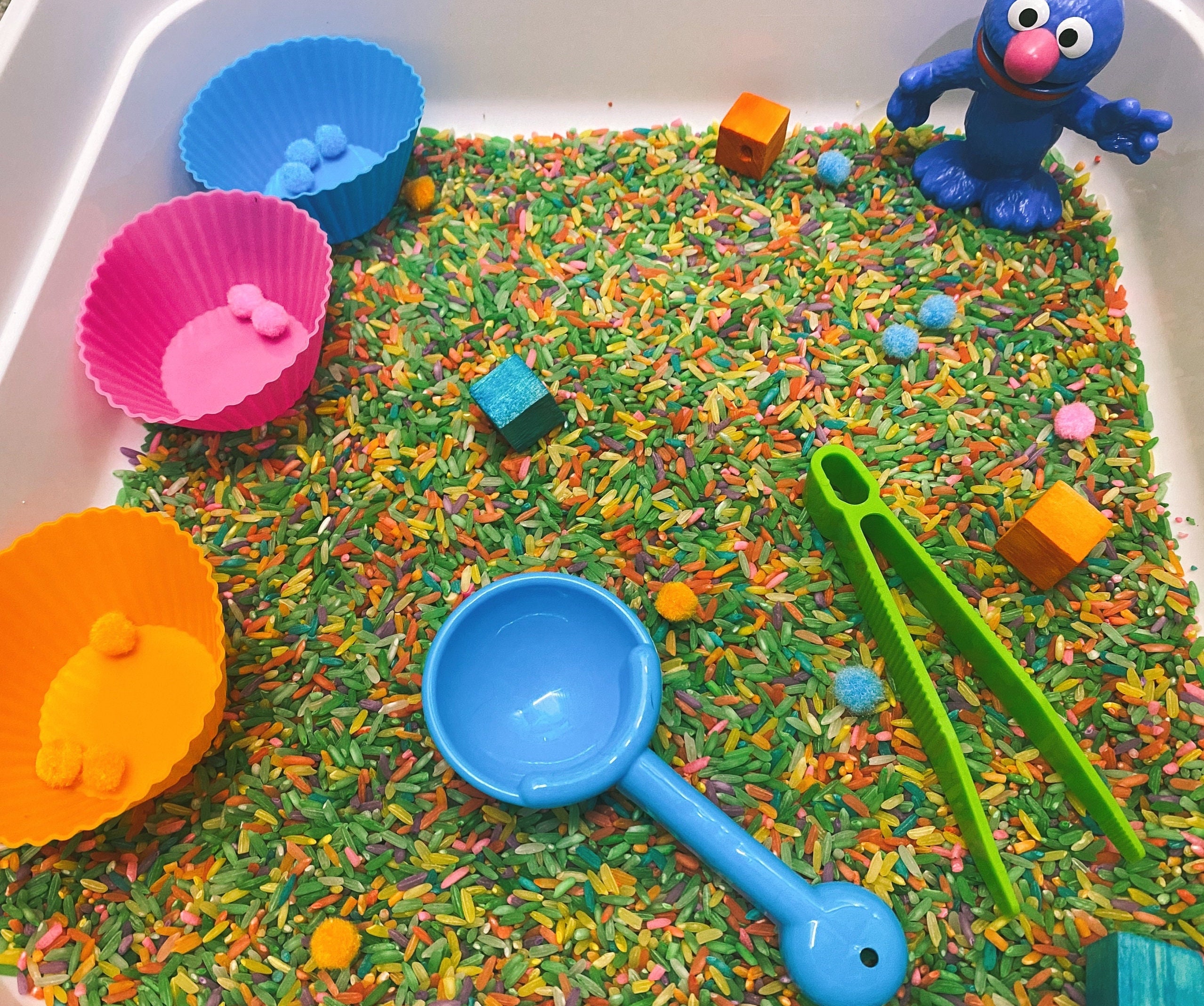 Sesame Street Sensory Bin/letters and Colors Sensory Bin/ Numbers ...