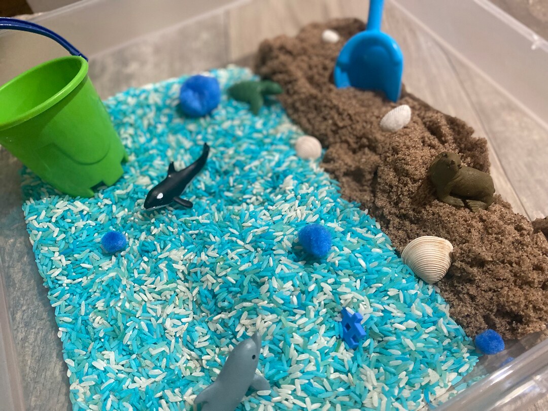 Beach Sensory Bin - Etsy