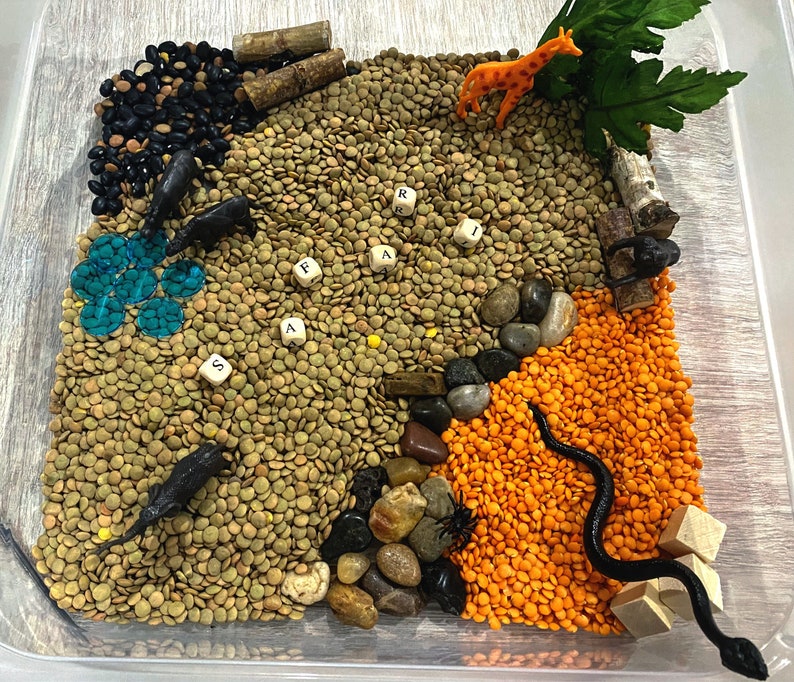 Safari Sensory Bin/african Safari Bin/ Wild Animal Sensory Bin - Etsy