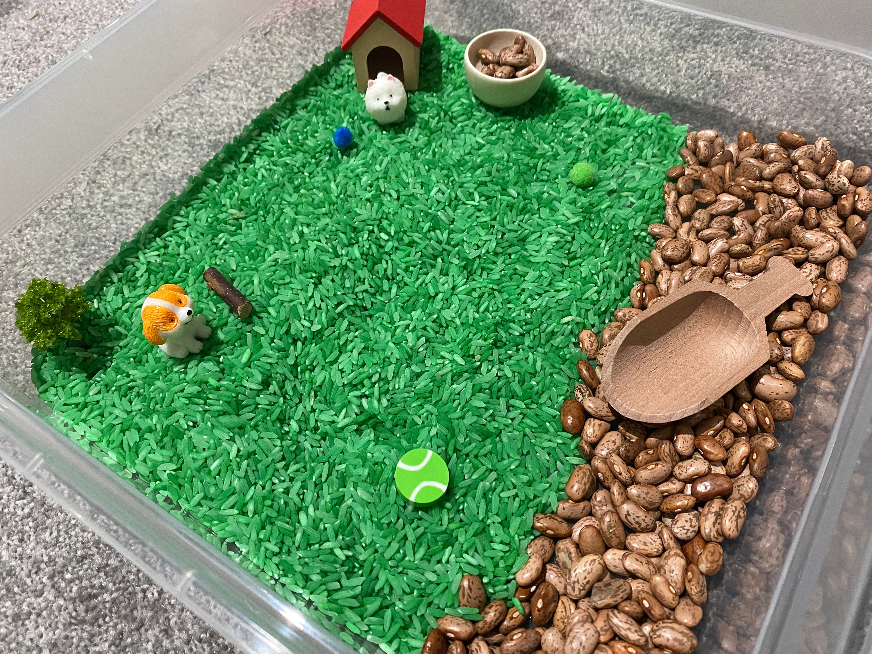 Backyard Puppy Sensory Bin/ Backyard Sensor Bin/ Pets Sensory Bin - Etsy