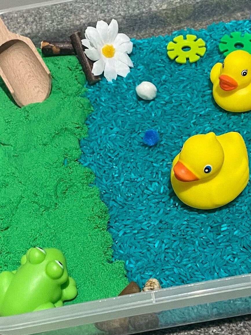 Duckie Sensory Bin, Duck Pond Sensory Bin - Etsy Australia