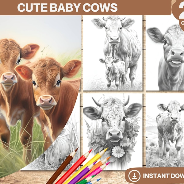 Highland Cow Coloring Book - Etsy