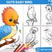 Cute Baby Bird Coloring Book | Animal Coloring Pages Printable ...