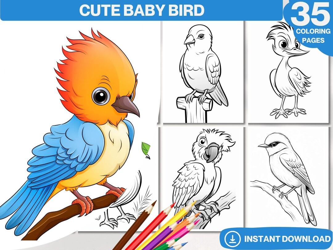 Cute Baby Bird Coloring Book | Animal Coloring Pages Printable ...