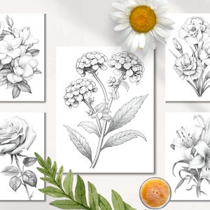 Botanical Flowers Coloring Book: 100 Grayscale Pages (printable PDF) - Etsy