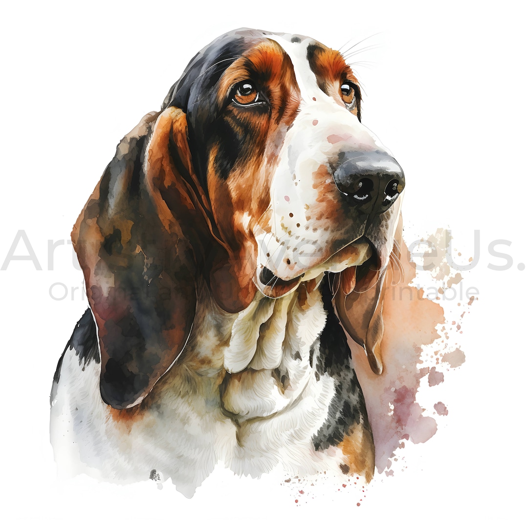 Basset Hound Watercolor Clipart – High-resolution Dog Art (digital ...