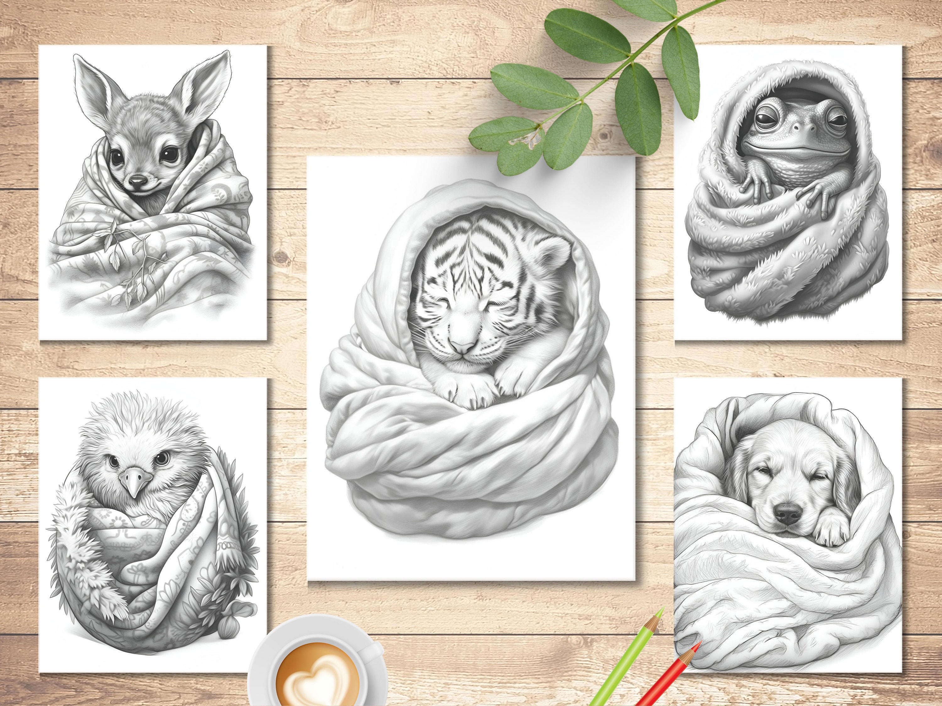 60 Cute Sleepy Baby Animals Coloring Book Printable Cats - Etsy