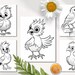 Cute Baby Bird Coloring Book Animal Coloring Pages Printable Tropical ...