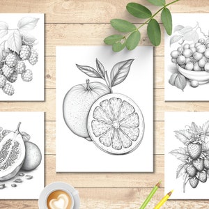Mixed Fruit Coloring Book: Grayscale Printable Pages (PDF) - Etsy