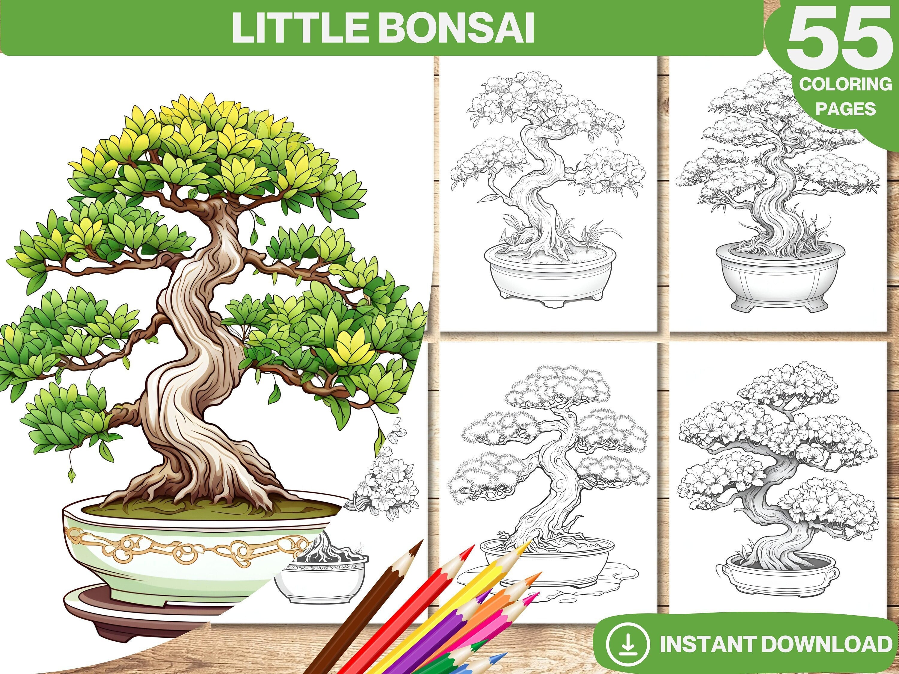 Bonsai Coloring Book: 55 Grayscale Botanical Pages (printable PDF) - Etsy