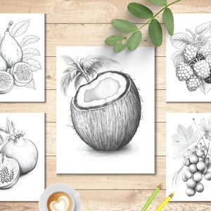 Mixed Fruit Coloring Book: Grayscale Printable Pages (PDF) - Etsy