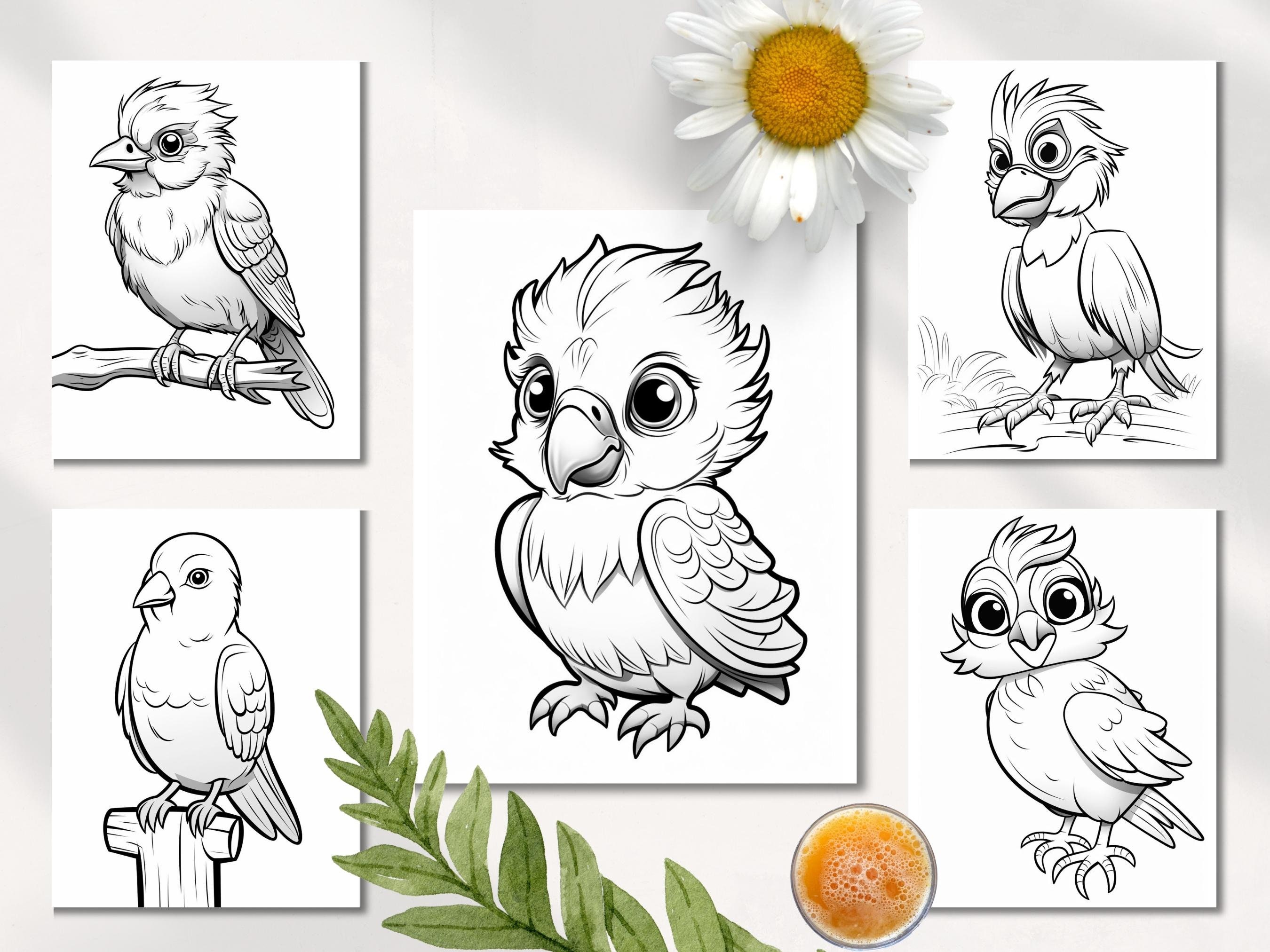 Cute Baby Bird Coloring Book Animal Coloring Pages Printable Tropical ...