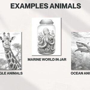700+ Animals Coloring Pages Bundle, Adults Coloring Book Bundle ...