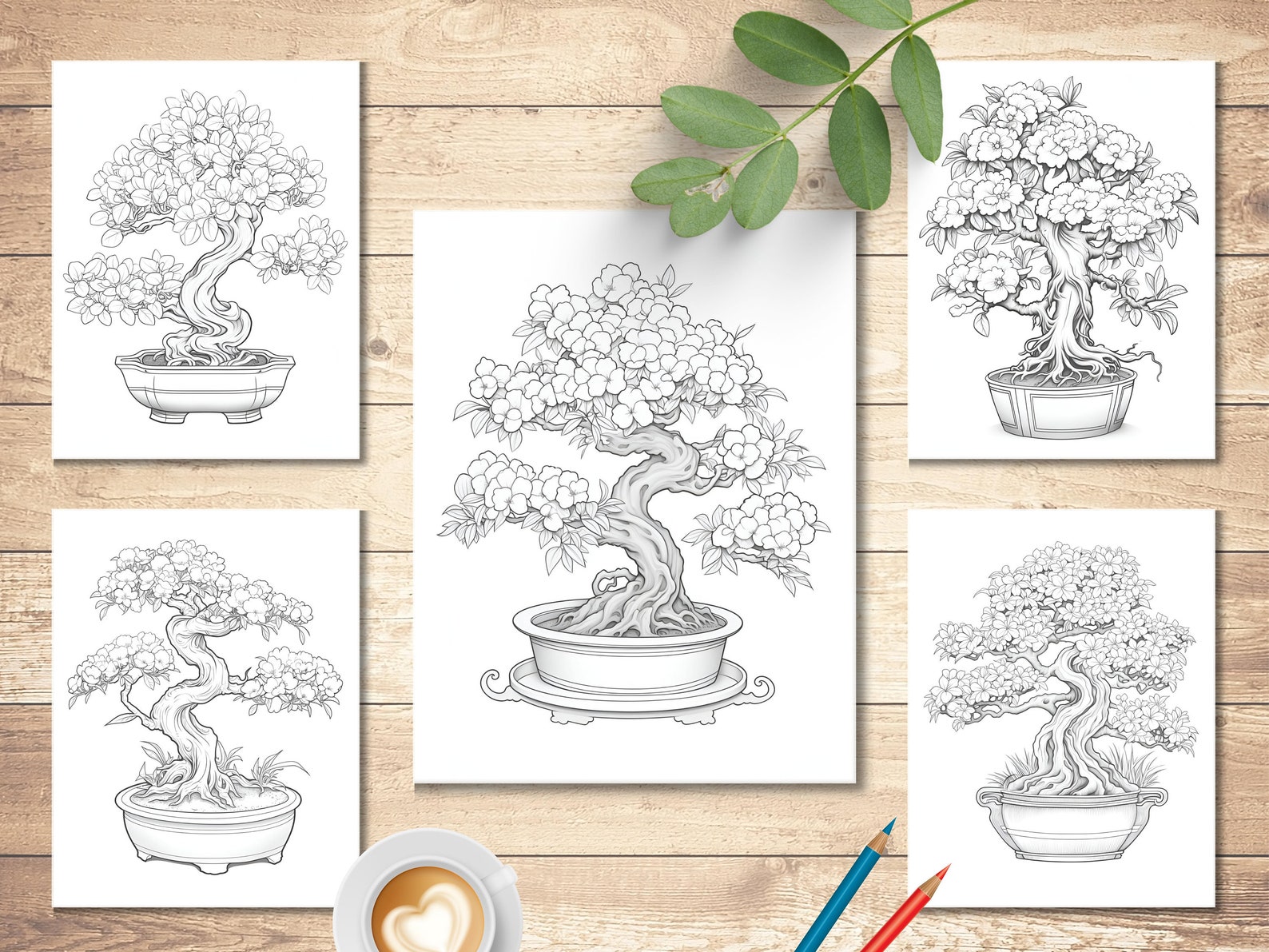 Bonsai Coloring Book: 55 Grayscale Botanical Pages (printable PDF) - Etsy