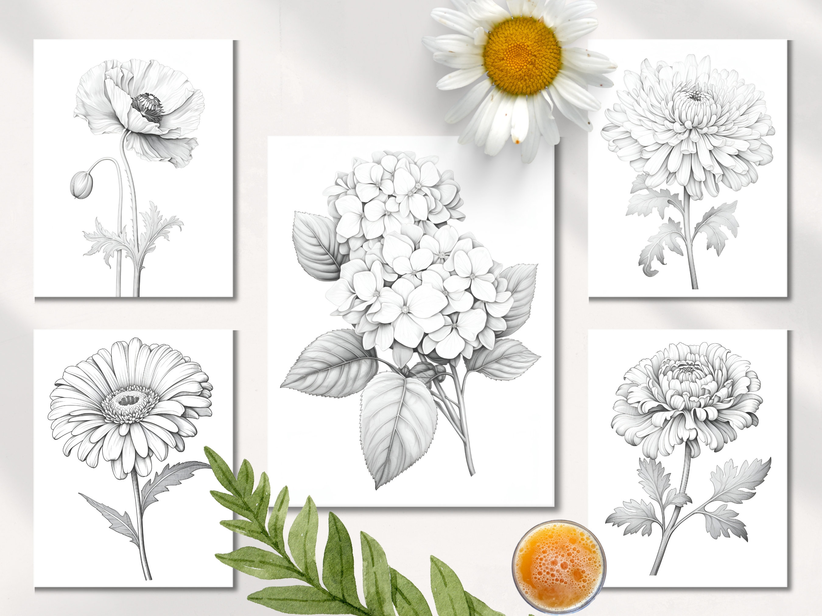 Botanical Flowers Coloring Book: 100 Grayscale Pages (printable PDF) - Etsy