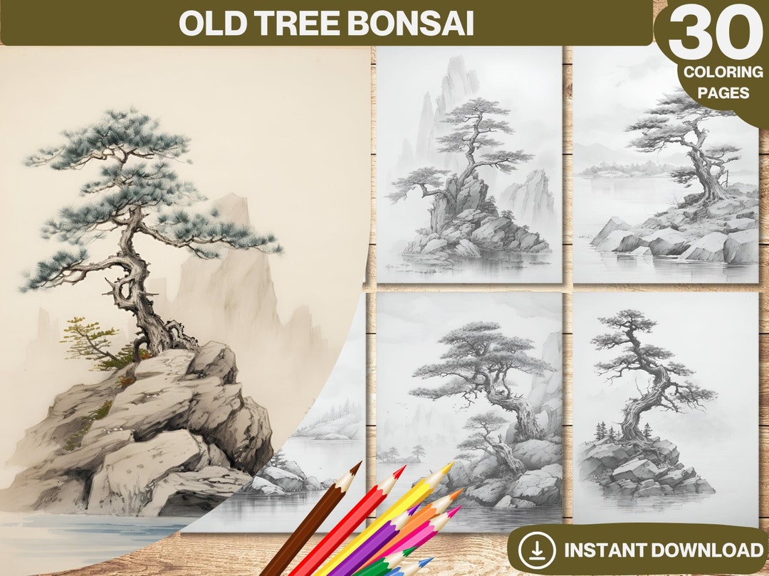 Old Tree Bonsai Coloring Book | Printable Adults and Kids Coloring ...