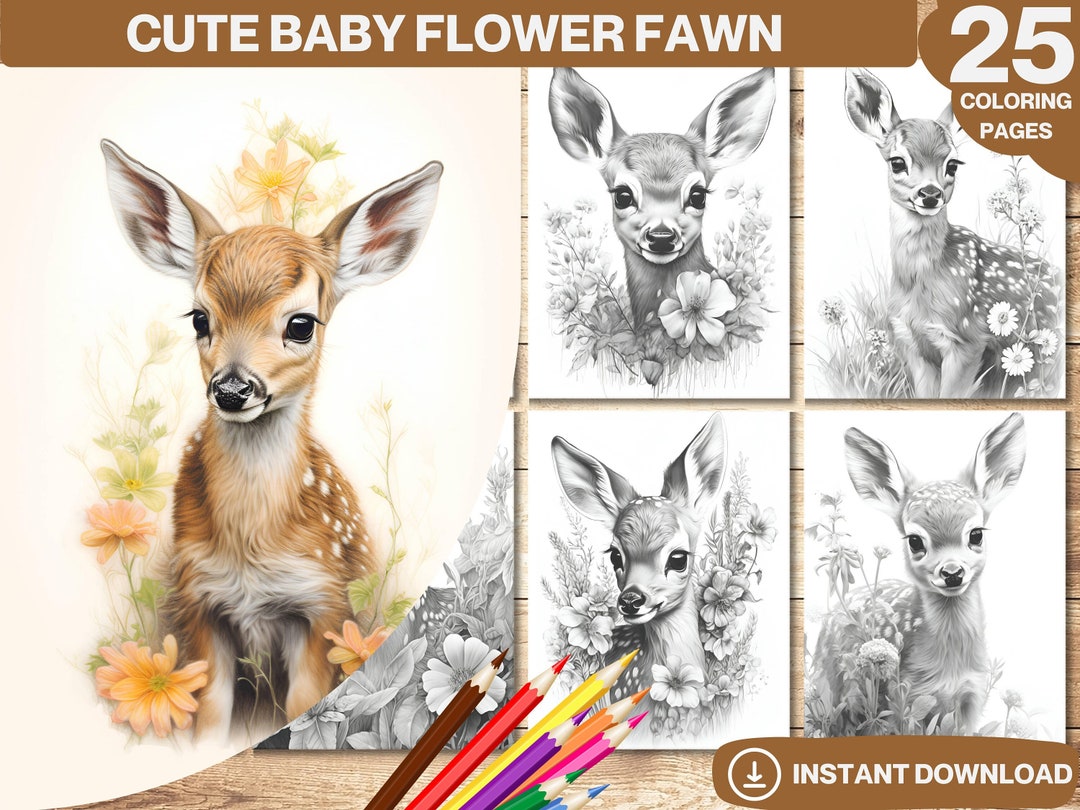 Cute Baby Flower Fawn Coloring Book | Printable Adult Coloring Pages ...