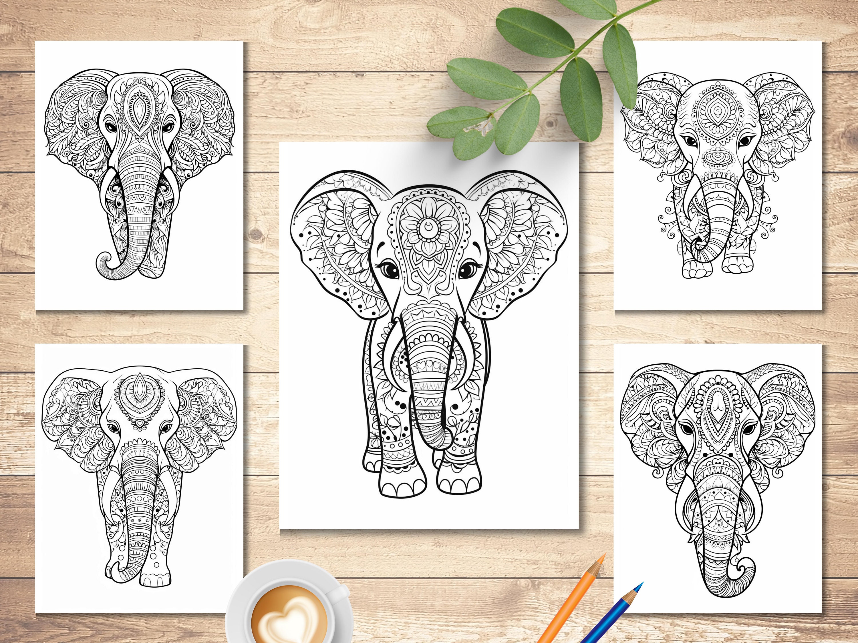 Cute Mandala Baby Elephants Coloring Book Adults and Kids - Etsy