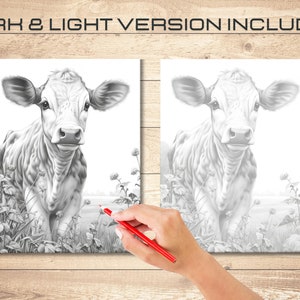Cute Baby Cows Coloring Book | Kids & Adults Grayscale Coloring Pages ...