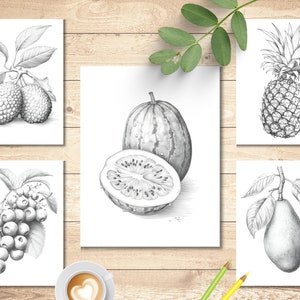 Mixed Fruit Coloring Book: Grayscale Printable Pages (PDF) - Etsy