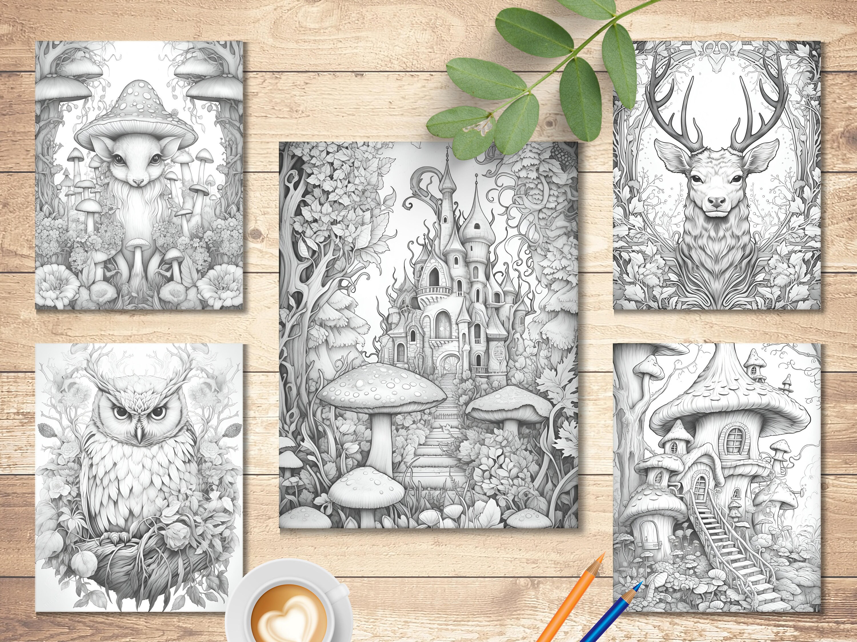 Enchanted Forest Coloring Book Adults Coloring Pages - Etsy