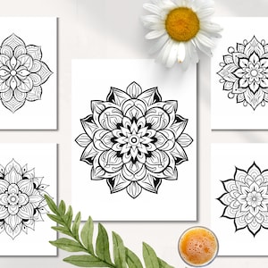 100 Mandalas Coloring Book: Stress Relief Art (PDF Printable) - Etsy