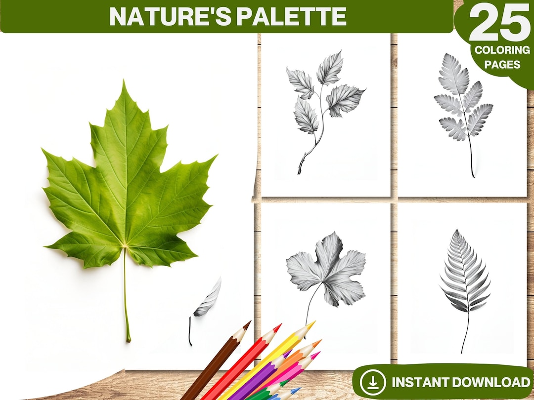 Nature's Palette Coloring Book, Printable Adult and Kid Coloring Pages ...