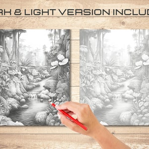 Water Gardens Coloring Book | Botanical Colouring Books | Garden Adult ...