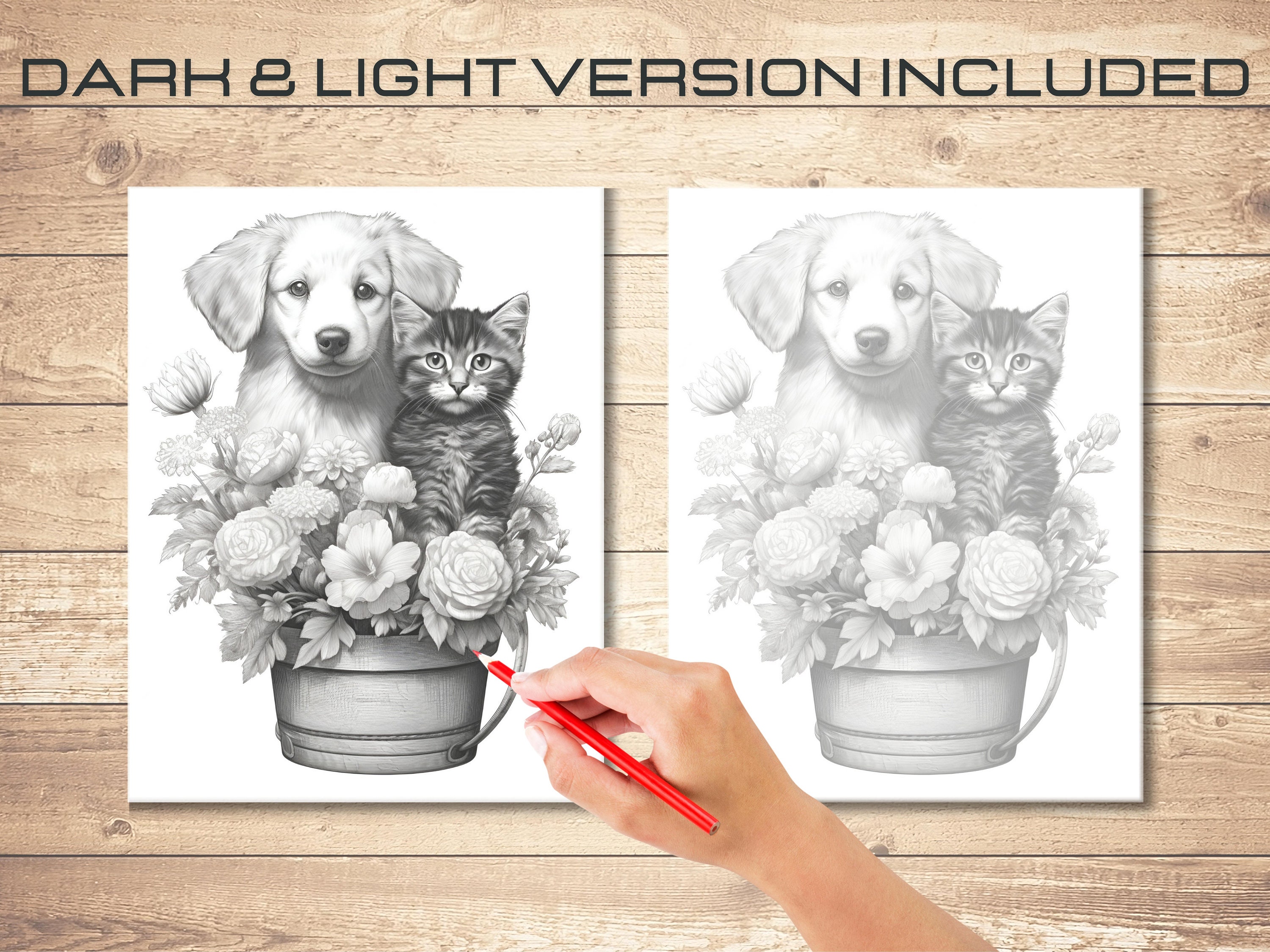 Cute Cats and Dogs Coloring Book Printable Pages Digital - Etsy