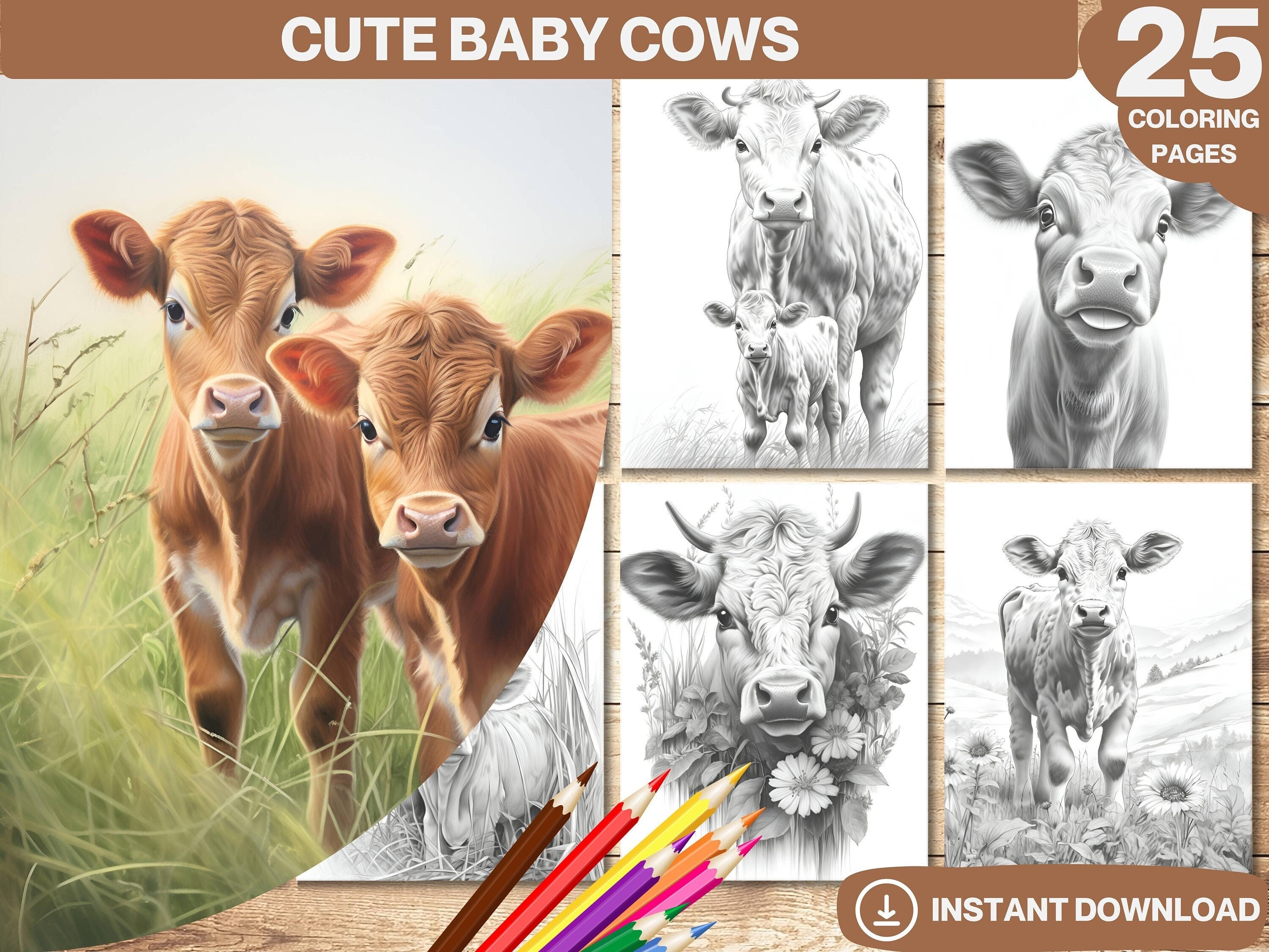 Cute Baby Cow Coloring Pages