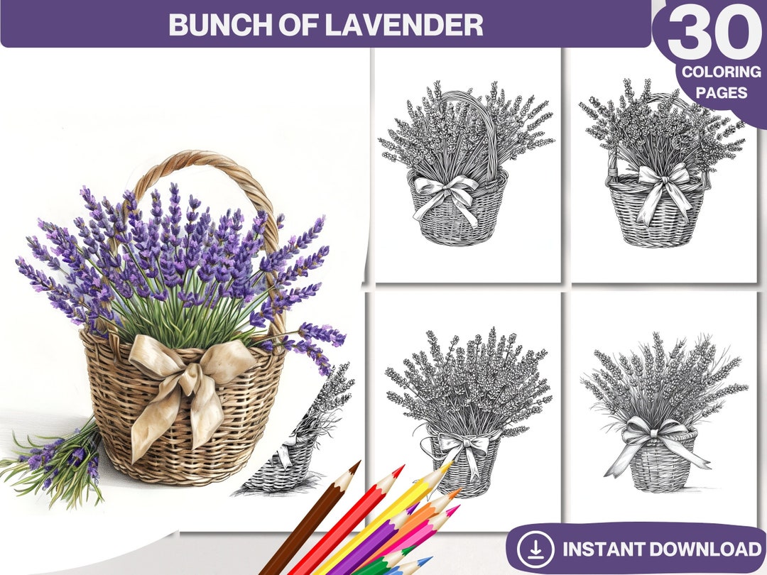 Lavender Coloring Book: 30 Grayscale Floral Pages (printable PDF) - Etsy