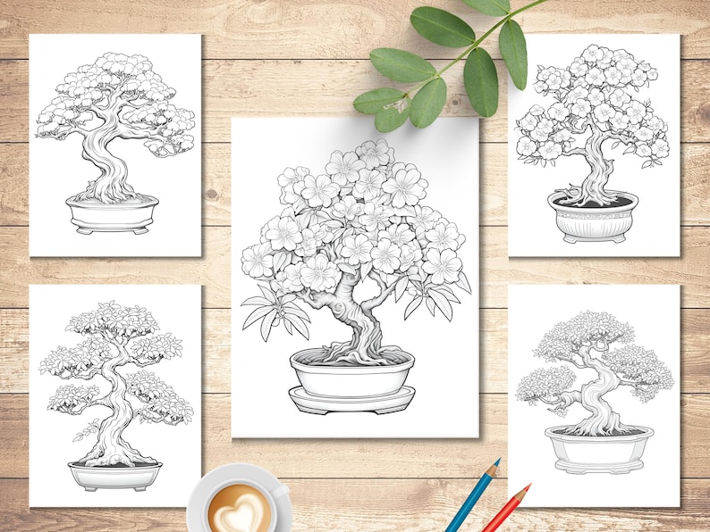 Bonsai Coloring Book: 55 Grayscale Botanical Pages (printable PDF) - Etsy