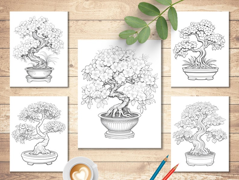 Bonsai Coloring Book: 55 Grayscale Botanical Pages (printable PDF) - Etsy