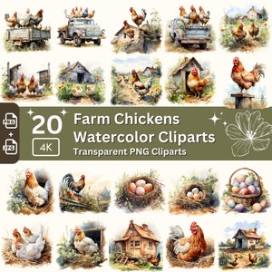 Farm Chickens Cliparts 20 PNG Bundle Watercolor Chicken Graphics Card ...