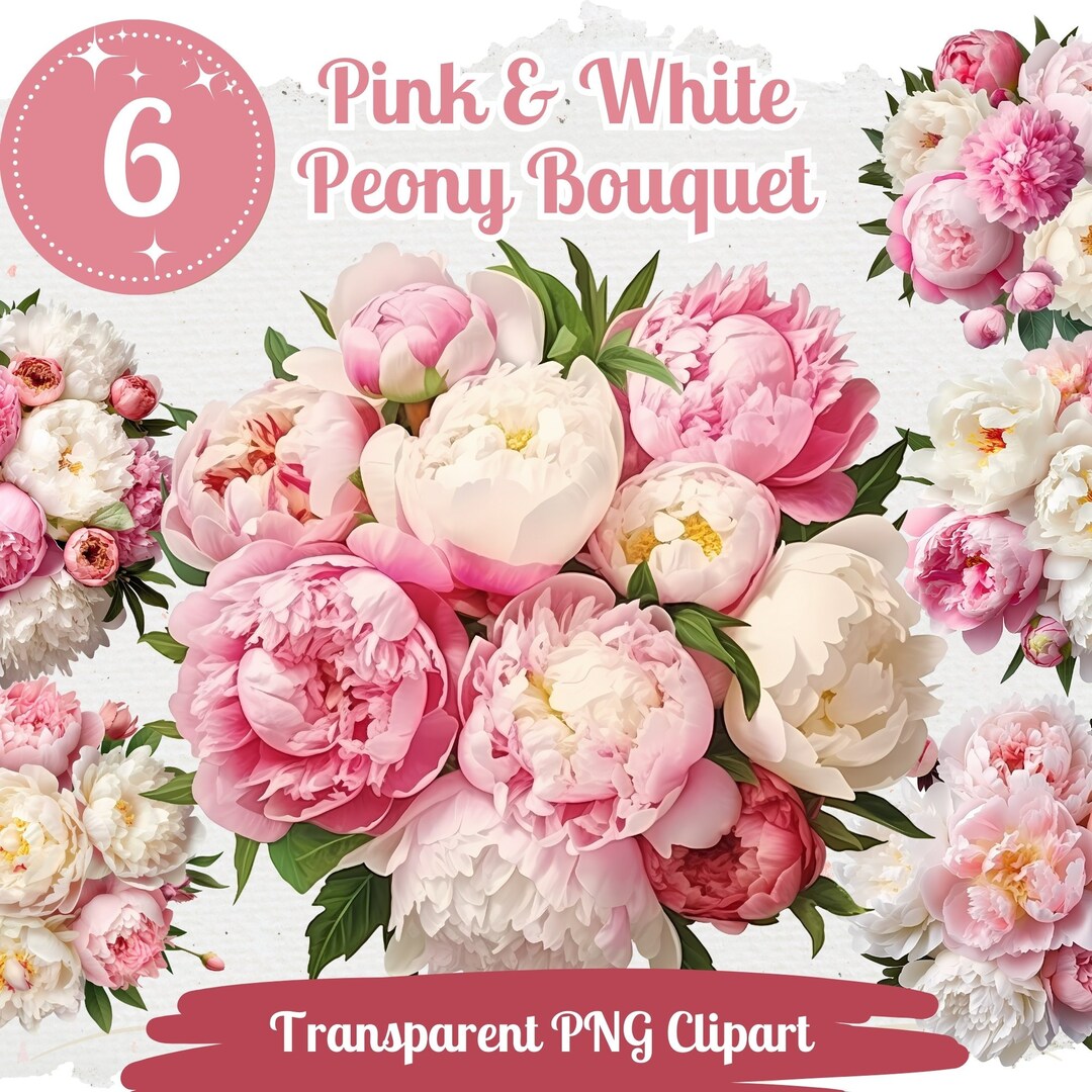 Pink White Peony Bouquet Clipart 6x PNG Bundle Floral Sublimation ...
