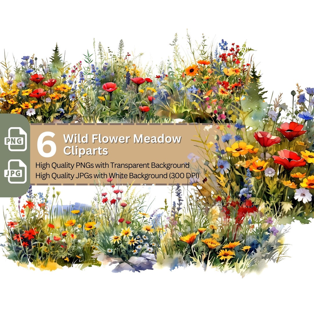 Wild Flower Meadow 6x PNG Clip Art Bundle Summer Meadow Design Card ...