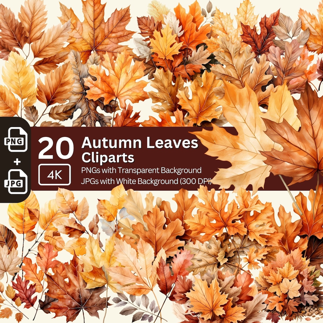 Watercolor Autumn Leaves Clipart: 20 PNG Fall Graphics (digital ...