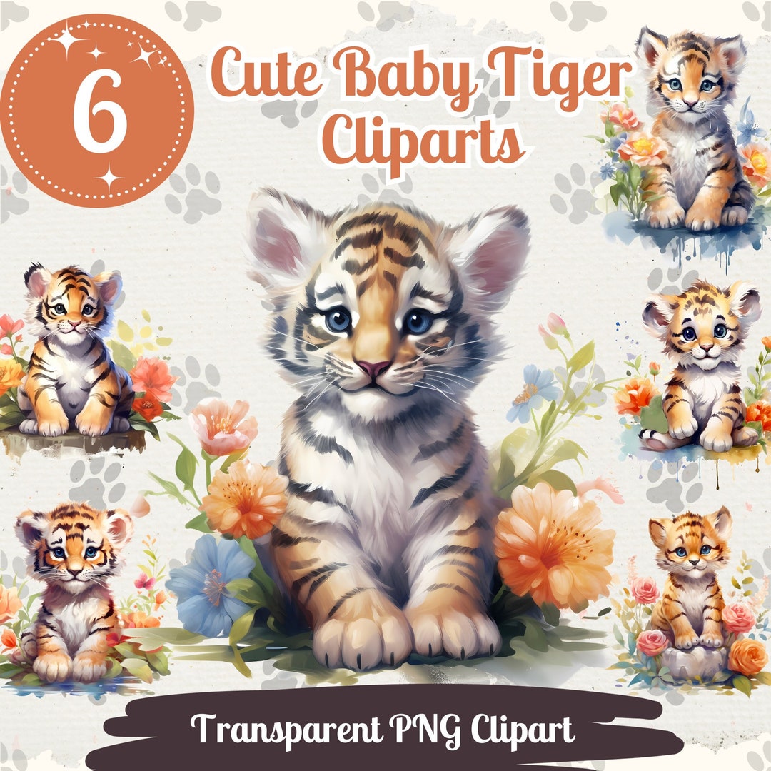 Cute Baby Tiger Clipart 6 PNG Bundle Transparent Clipart for ...