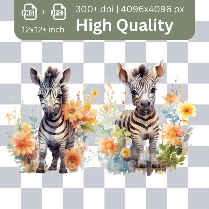 Cute Baby Zebra 6x PNG Clip Art Bundle Sublimation & Clipart - Etsy