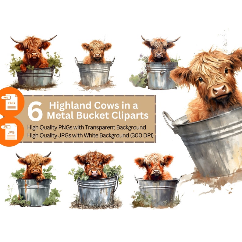 Highland Cows in Metal Bucket PNG Bundle for Sublimation & - Etsy