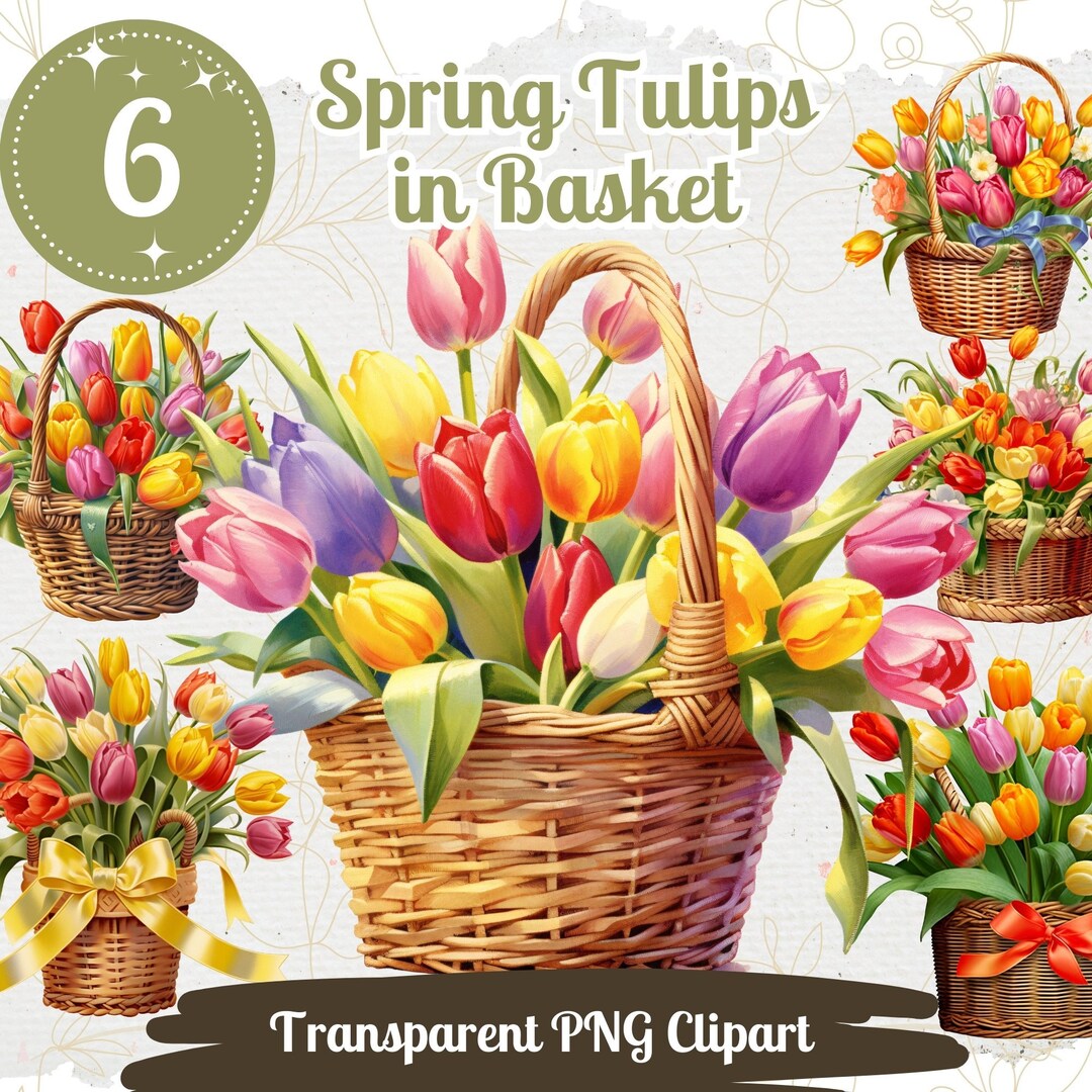 Spring Tulips Clipart 6 PNG Bundle Colorful Tulips in Basket Spring ...