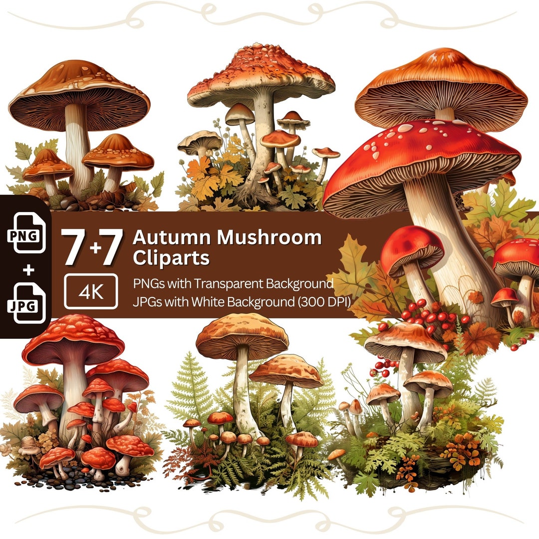 Autumn Mushroom Watercolor Clipart: PNG JPG Bundle (digital Download ...