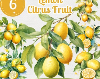 Lemon Numbers Clipart: Watercolor Fruit PNG Set (digital Download) - Etsy