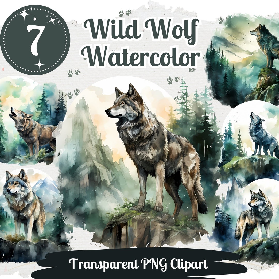 Wild Wolf Clipart 7 PNG Bundle Watercolor Artwork Digital Paper ...